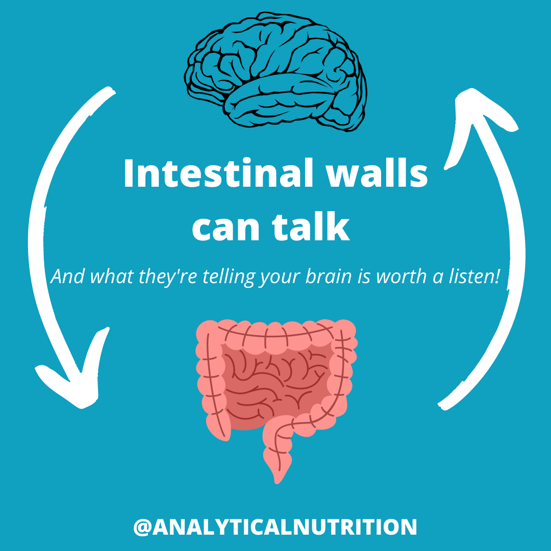 How Your Intestinal Walls Talk To Your Brain - Analytical Nutrition